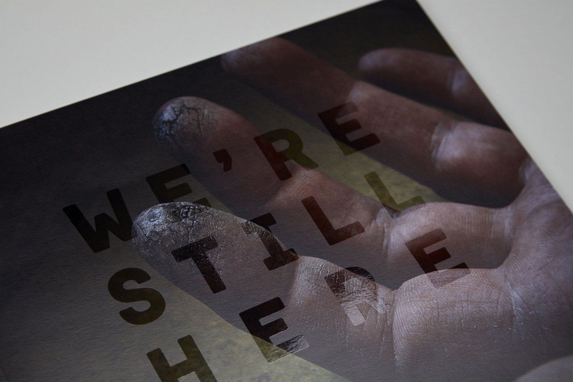 We're Still Here Wild Ilk Design Studio
